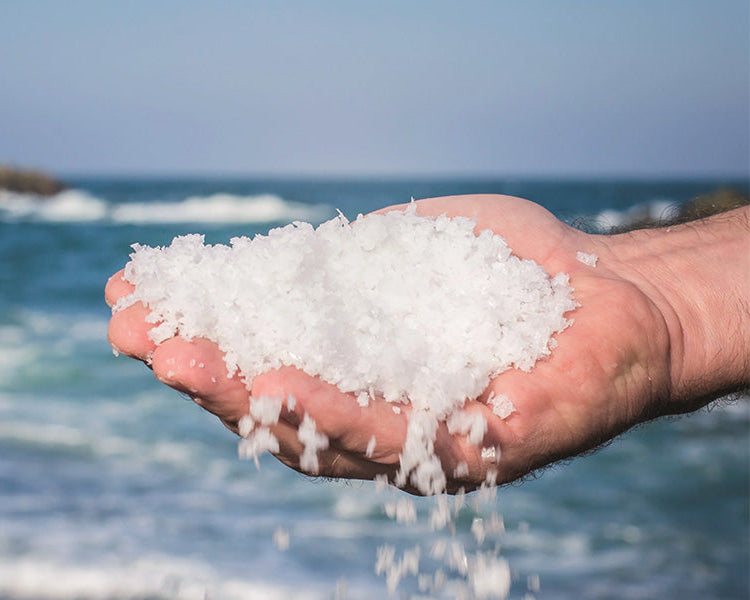 Our Story | Cornish Sea Salt – Cornish Sea Salt Company Ltd